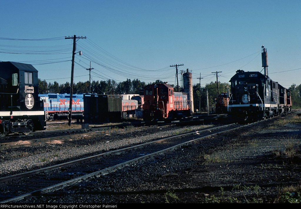 ICG 1463 and IC 8750